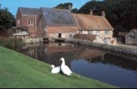 Calbourne Watermill - Island Eye